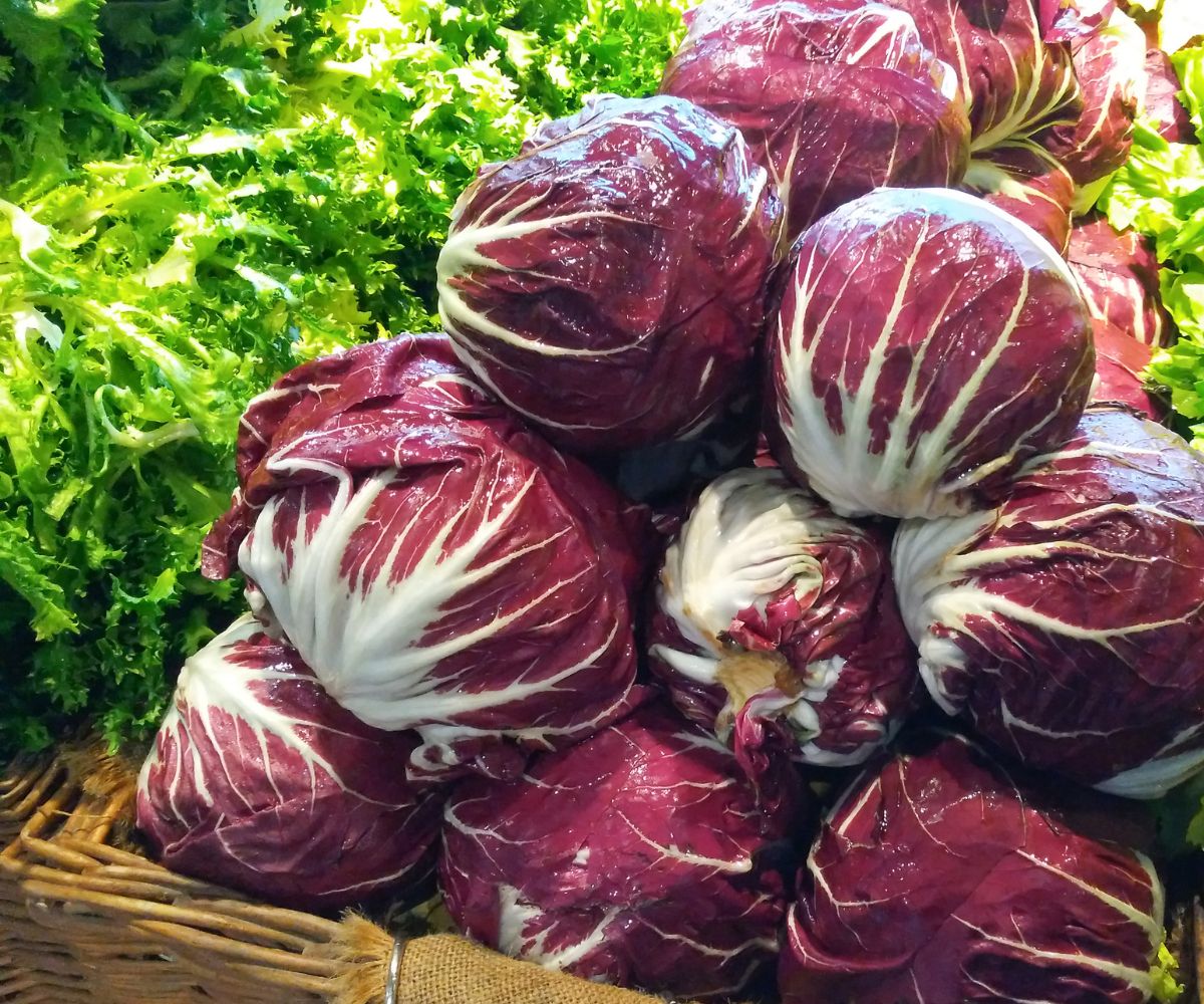 Gorgonzola Radicchio Penne Recipe from Chef Fabio Viviani - Thrifty Jinxy