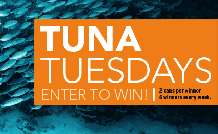 Tuna Bruschetta Recipe - Thrifty Jinxy