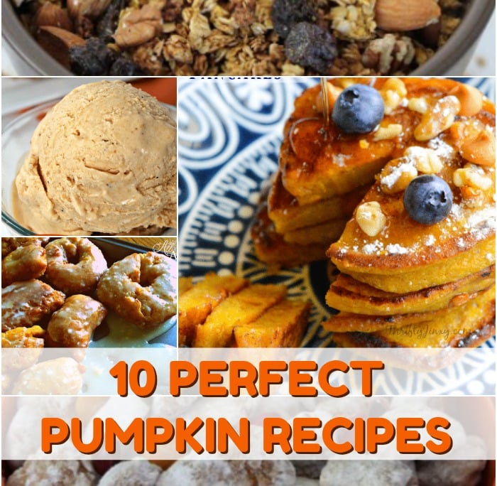 10 Perfect Pumpkin Recipes - Thrifty Jinxy