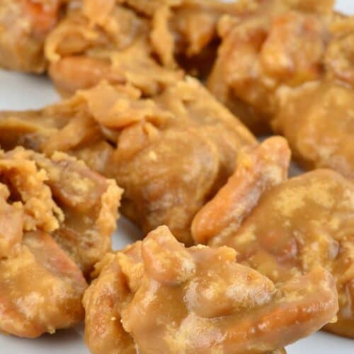 Easy Microwave Pralines Recipe - Thrifty Jinxy