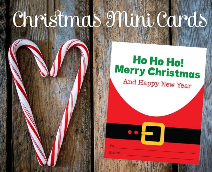 Free Printable Mini Santa Cards - Thrifty Jinxy