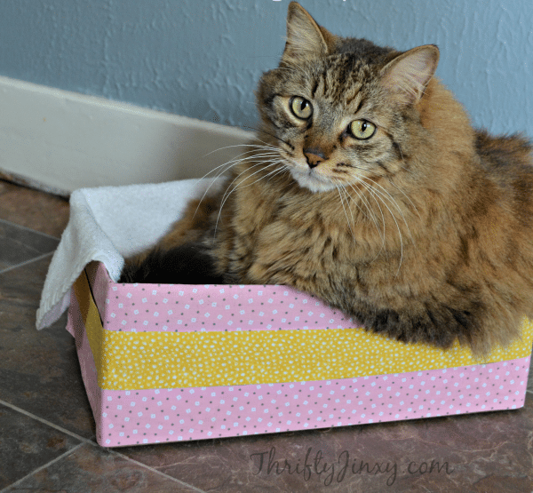 DIY Cozy Kitty Nap Box - Thrifty Jinxy
