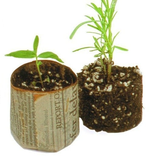 Make Newspaper Plant Pots - Start Seedlings the Earth-Friendly Way ...