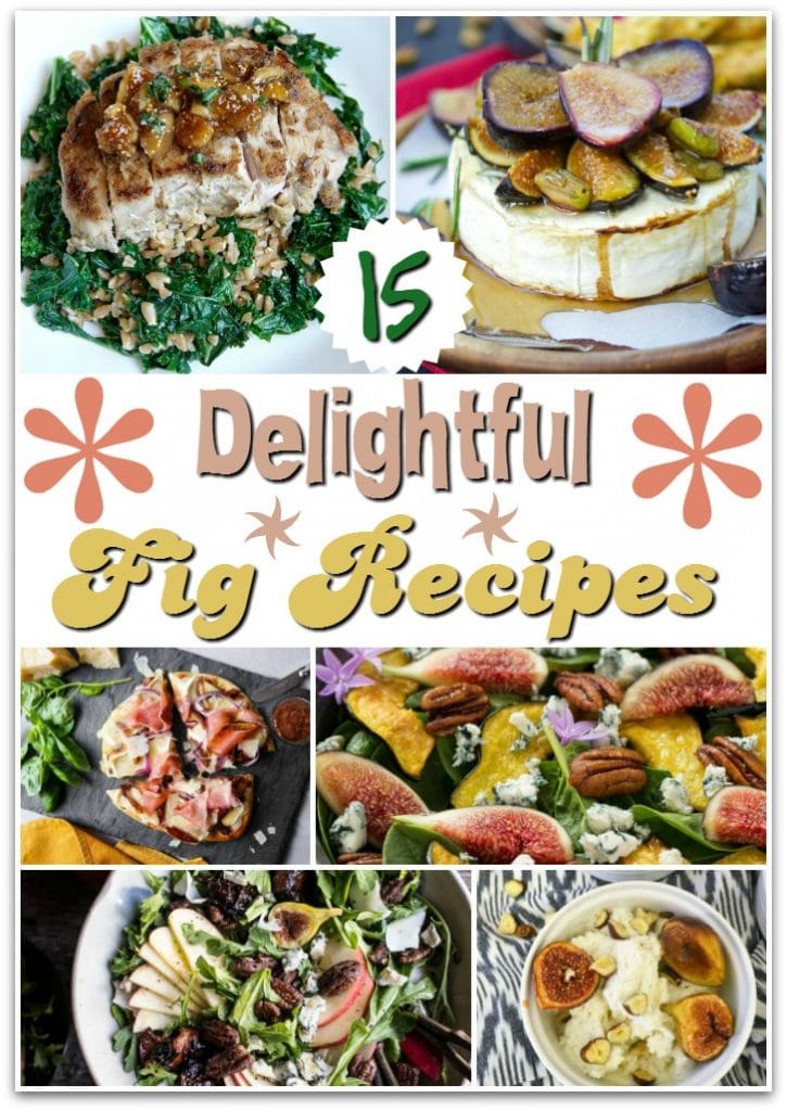 15 Delightful Fig Recipes - Thrifty Jinxy