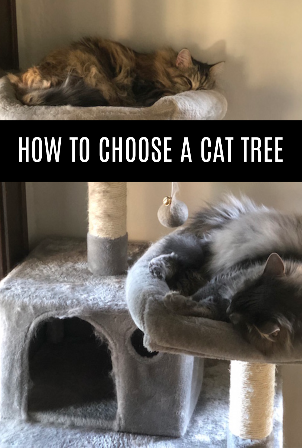 How to Choose a Cat Tree - Thrifty Jinxy
