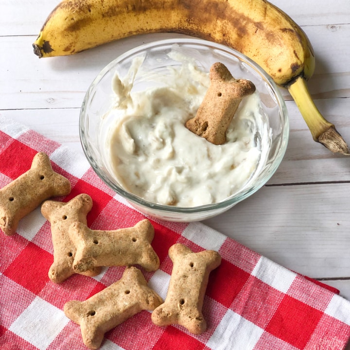 Invite Your Pet to the Party with this Dog Treat Dip Recipe - Thrifty Jinxy