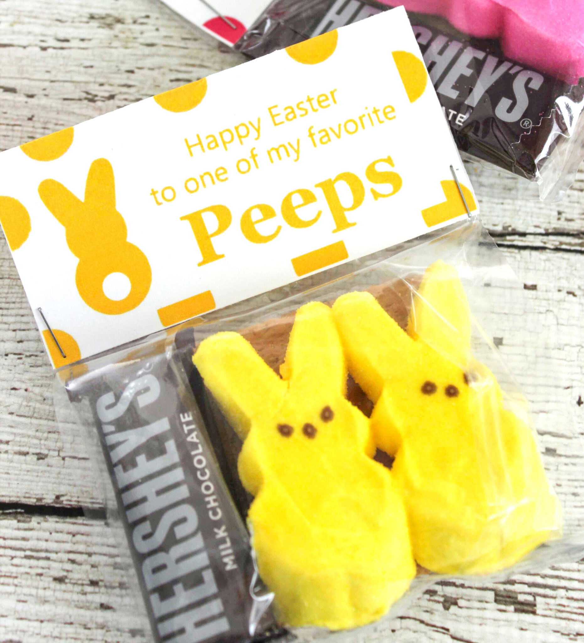 Make Peeps S'Mores Treat Bags for Easter Fun! - Thrifty Jinxy