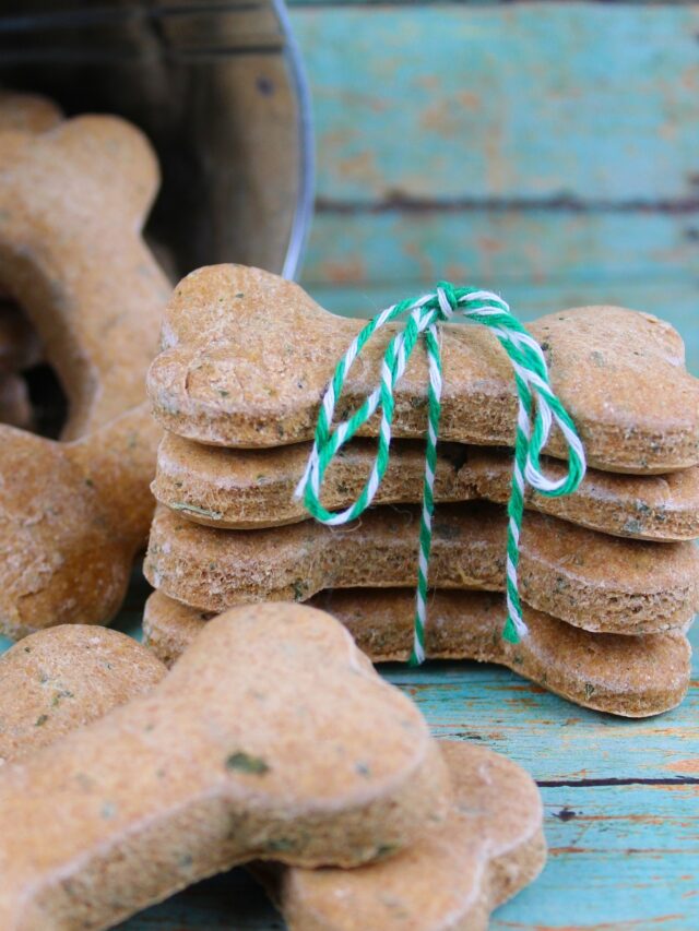 Easy Homemade Dog Biscuit Story - Thrifty Jinxy