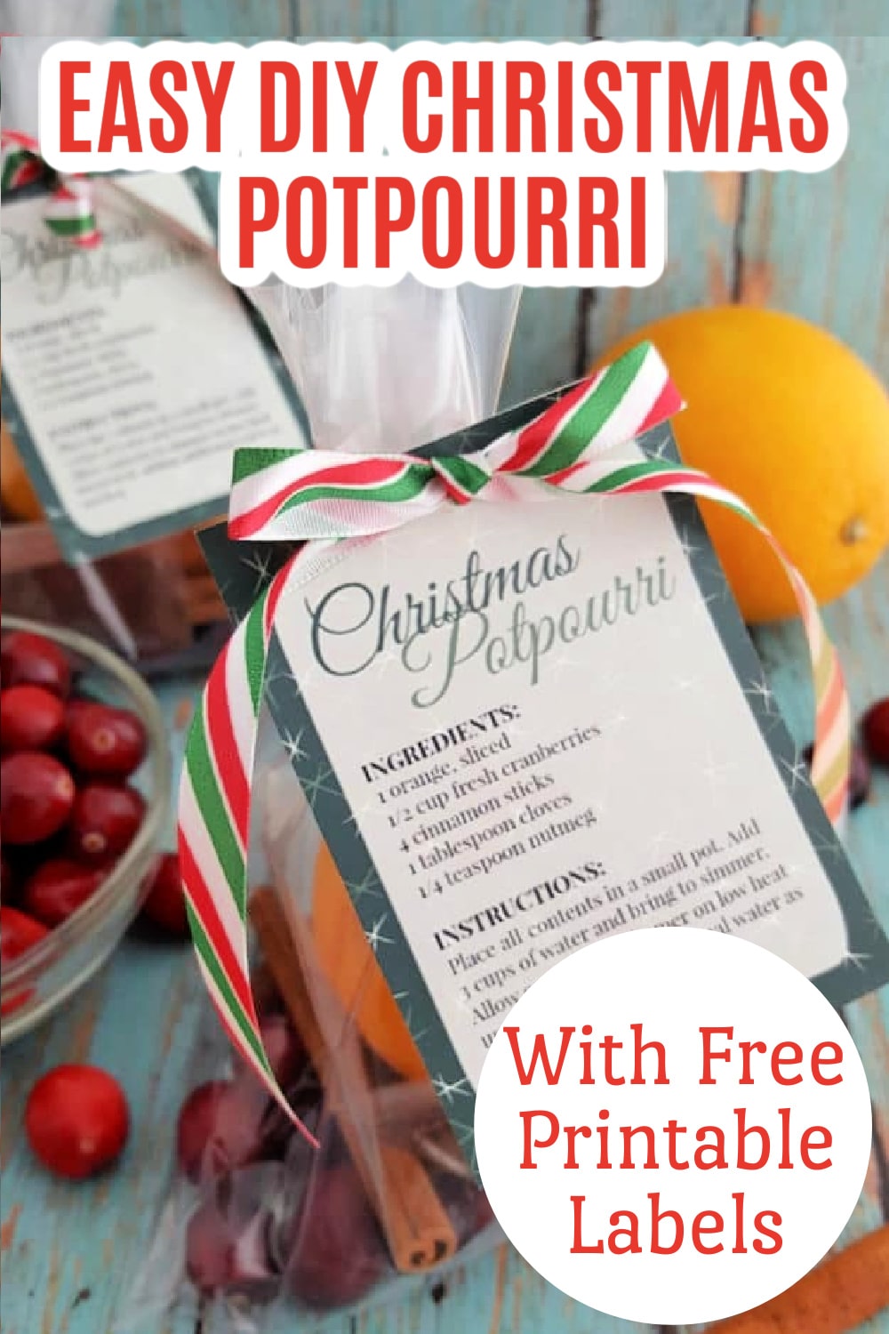 DIY Christmas Potpourri with Printable Gift Labels - Thrifty Jinxy