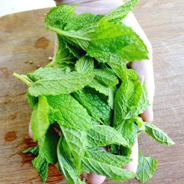 Mint-Infused Lemonade Recipe - Thrifty Jinxy