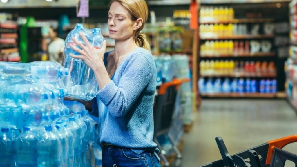 9 grocery delivery fees that aren’t worth paying - Thrifty Jinxy