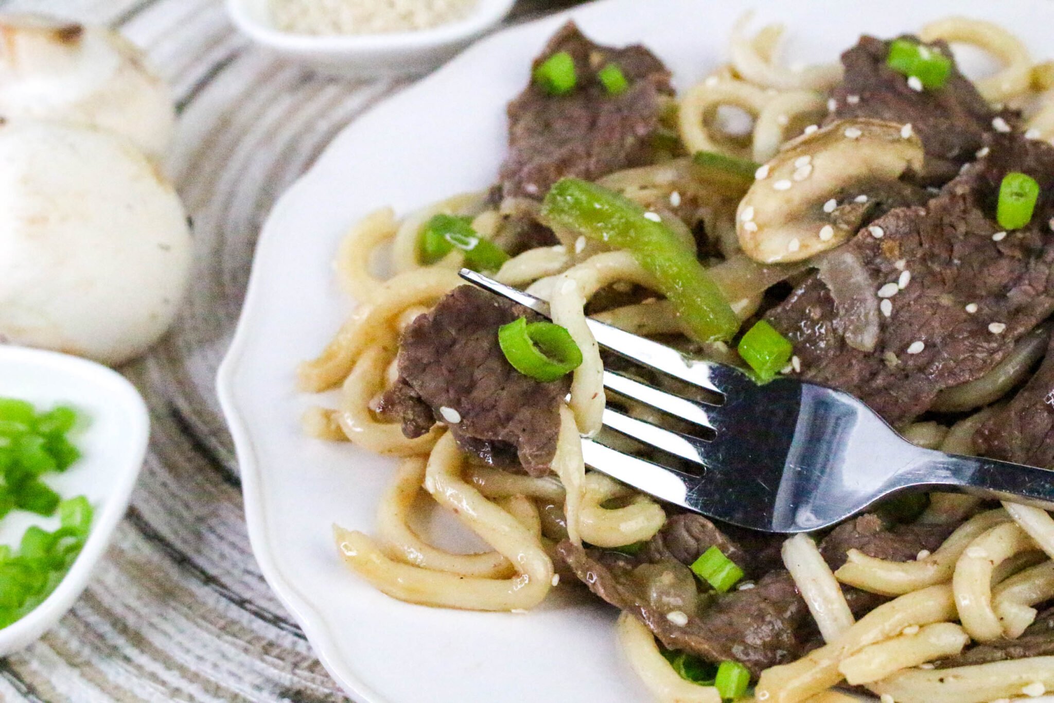 Beef and Udon Noodles - Thrifty Jinxy